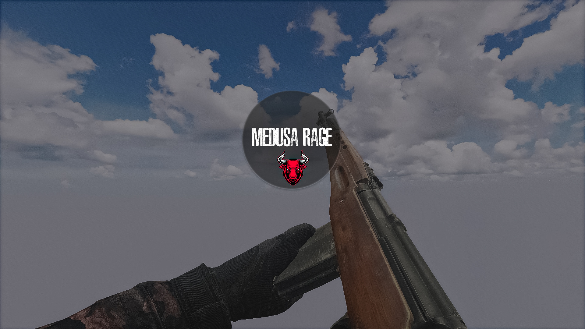 EFT [Medusa Rage] | Приватные читы для разных игр